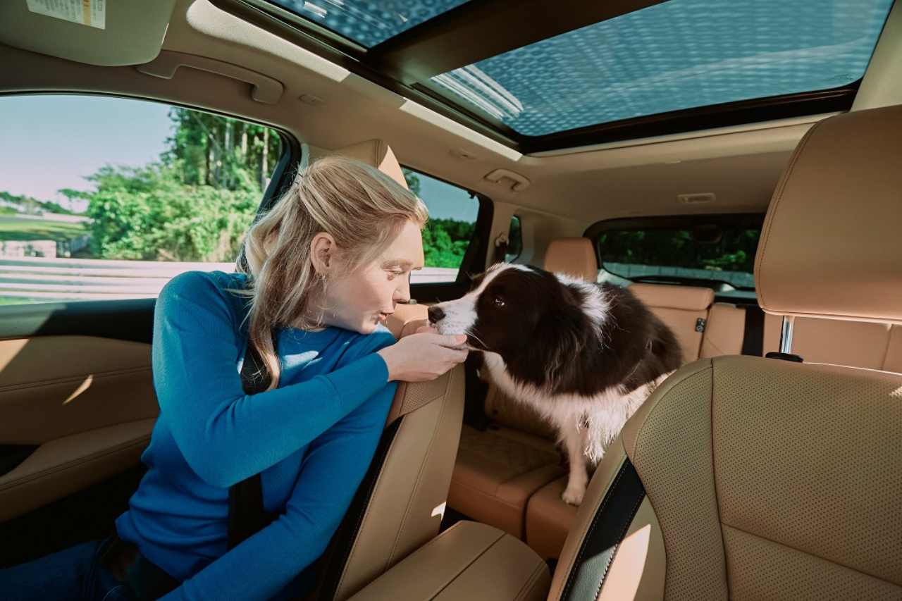 Meet The Best Dog-Friendly Cars - Nissan Vehicles (2024)